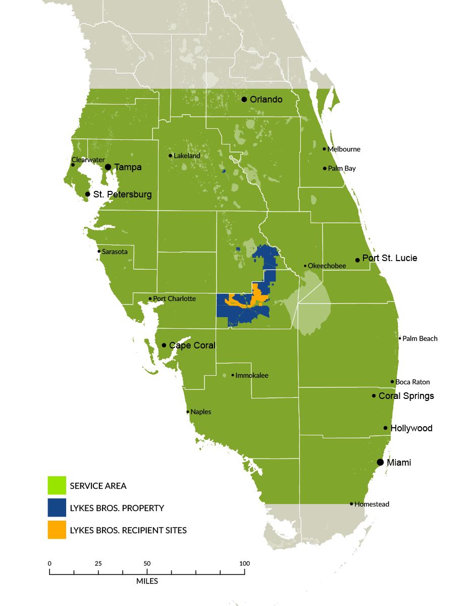 Gopher Tortoise – lykes.com